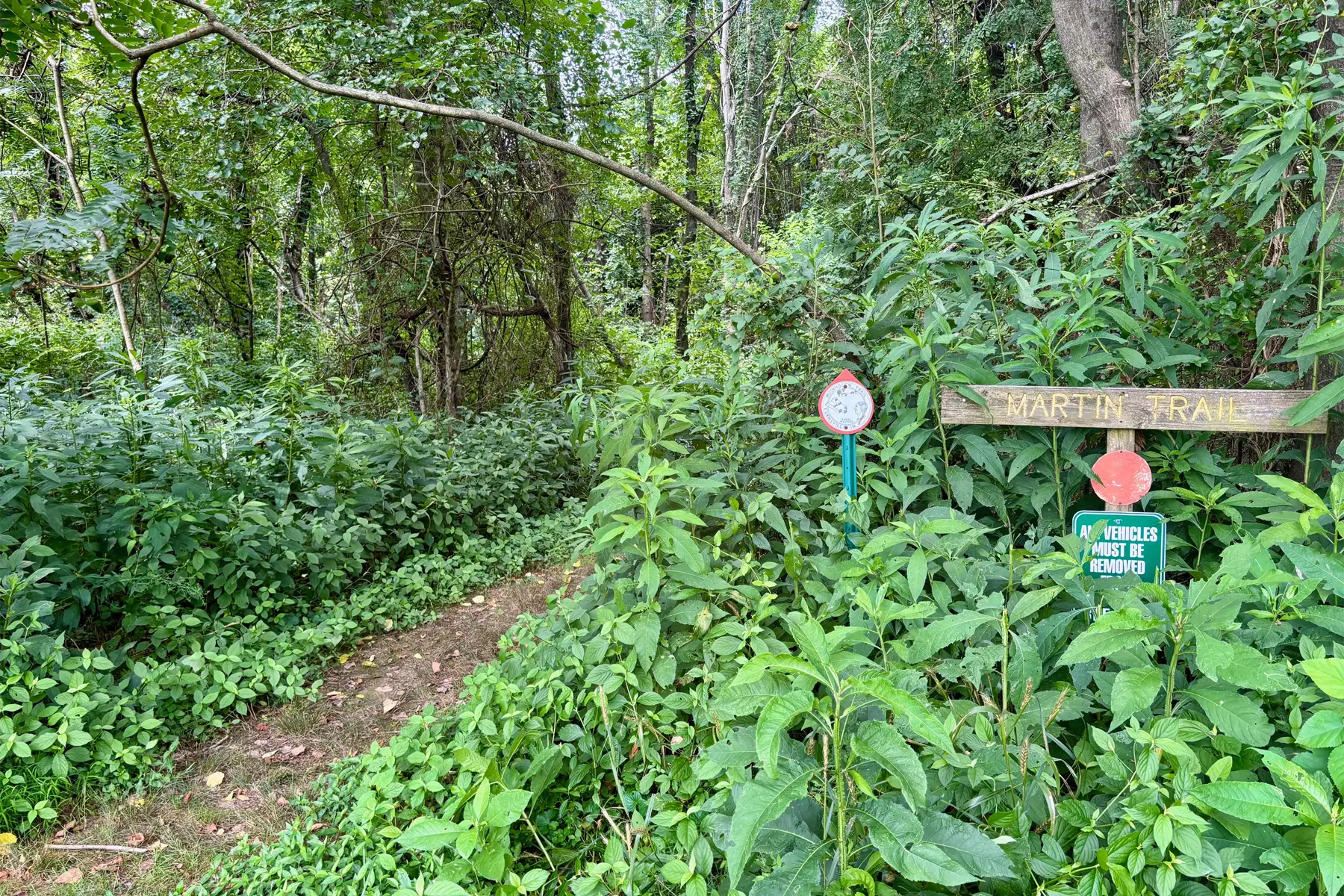 Guided Nature Walk - Indiana State Museum and Historic Sites