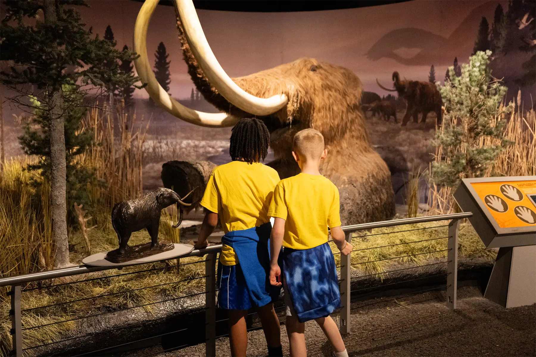 Explore Fossils at Mastodon Camp at the Indiana State Museum
